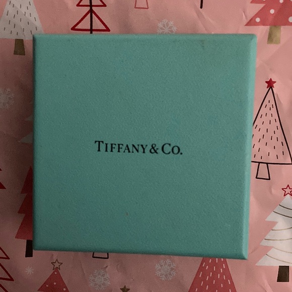 Tiffany & Co. | Other | Tiffany Co Box And Dust Envelope Perfect For ...